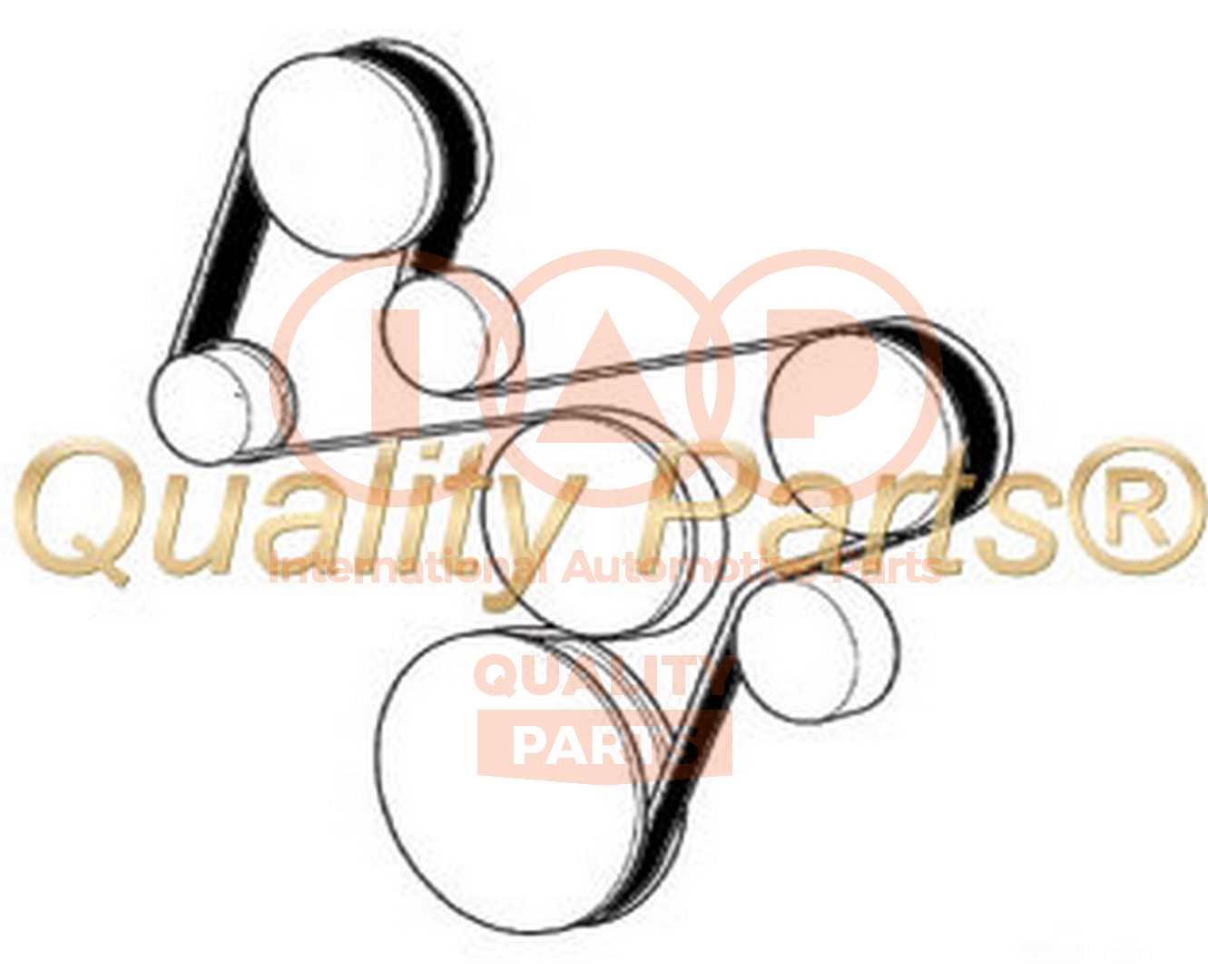 IAP QUALITY PARTS Kiilahihna 140-24012 | Aero Motors OÜ